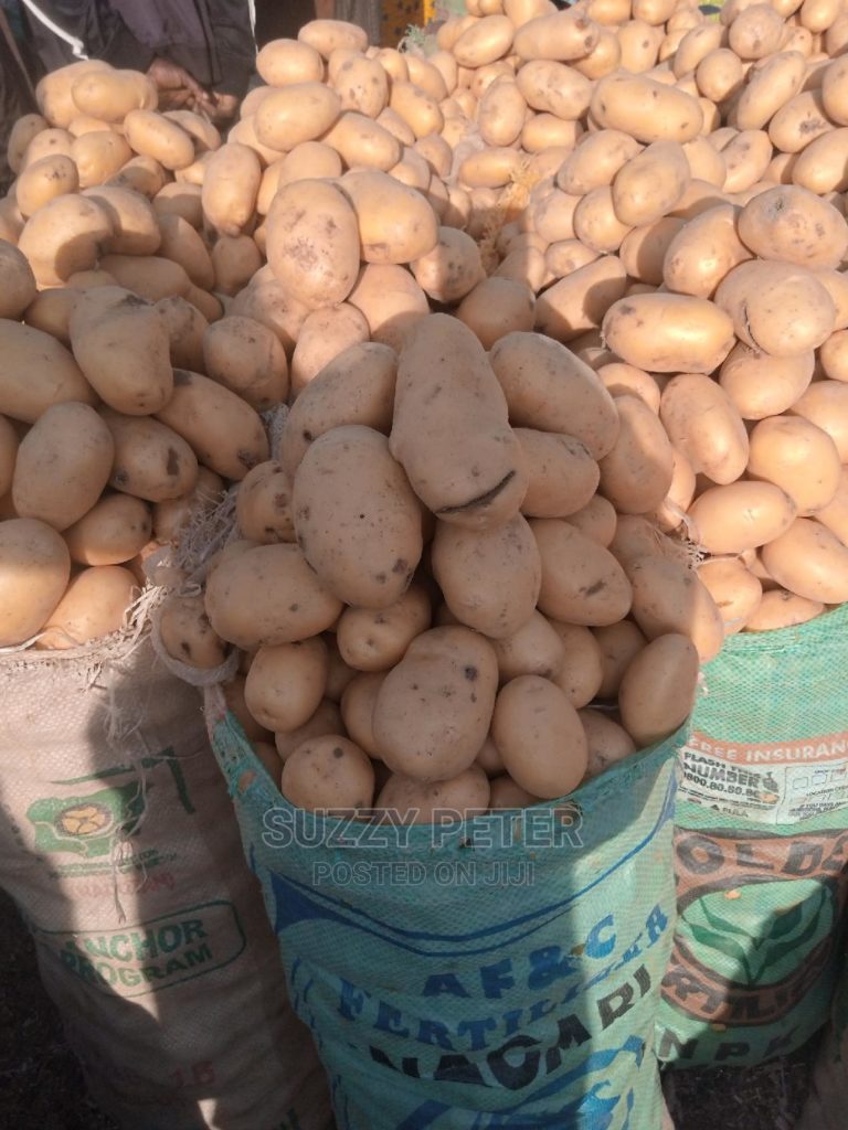Plateau Farmers Lament Destruction Of Potatoes By Blight