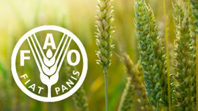 Federal Govt, FAO Sign MoU To Restore 350,000 Hectares Degraded ...