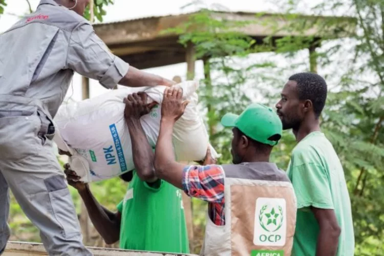 OCP Africa Drives Fertiliser Self-sufficiency With Kaduna Plant, Others