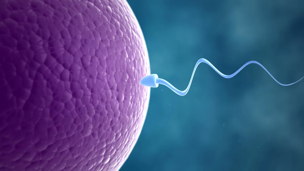 Infertility: Expert Advocates Proper Diagnosis To Improve Treatment