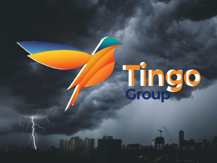 tingo_group