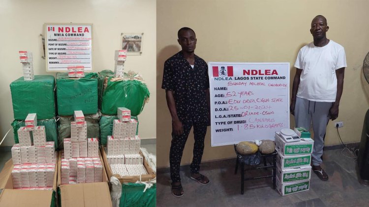 PICTORIAL: NDLEA Arrests Brazil Returnee, Others For Drugs, Declares Ex ...