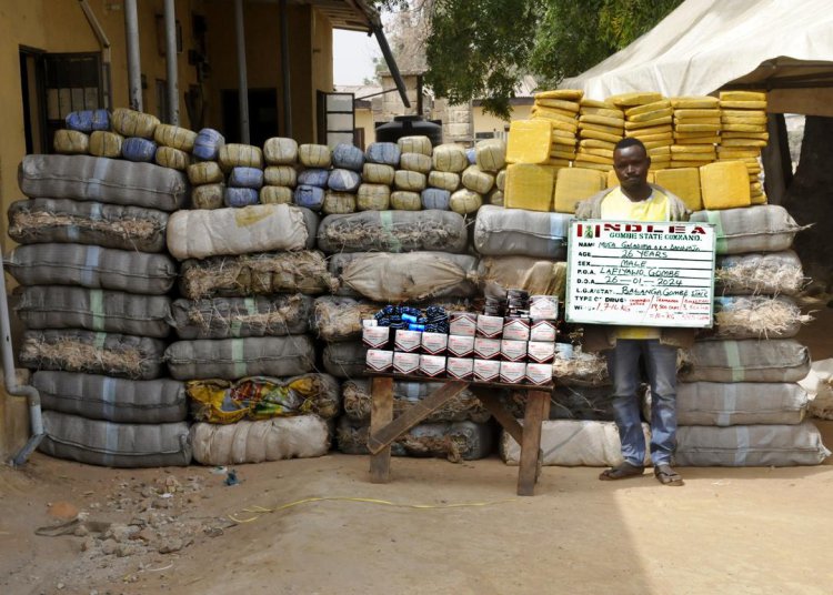PICTORIAL: NDLEA Arrests Brazil Returnee, Others For Drugs, Declares Ex ...