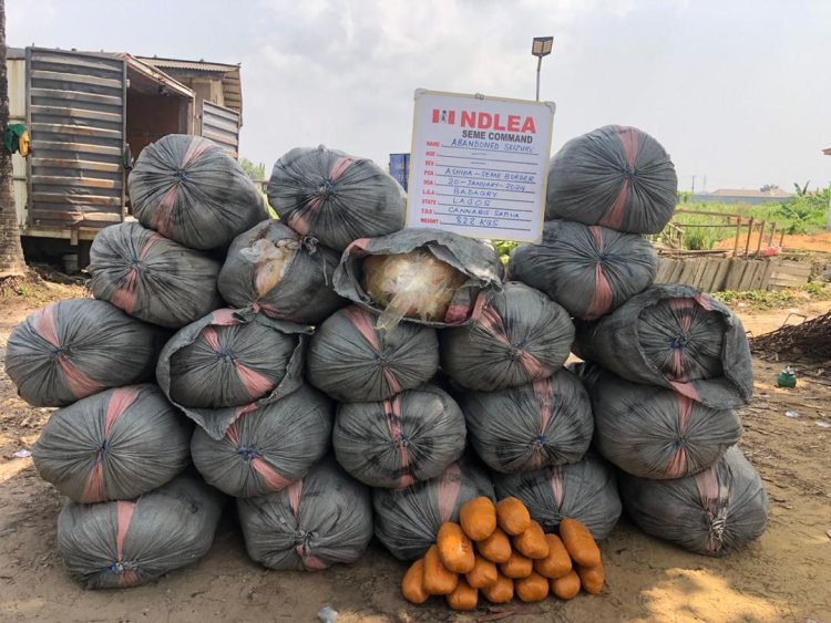 PICTORIAL: NDLEA Arrests Brazil Returnee, Others For Drugs, Declares Ex ...