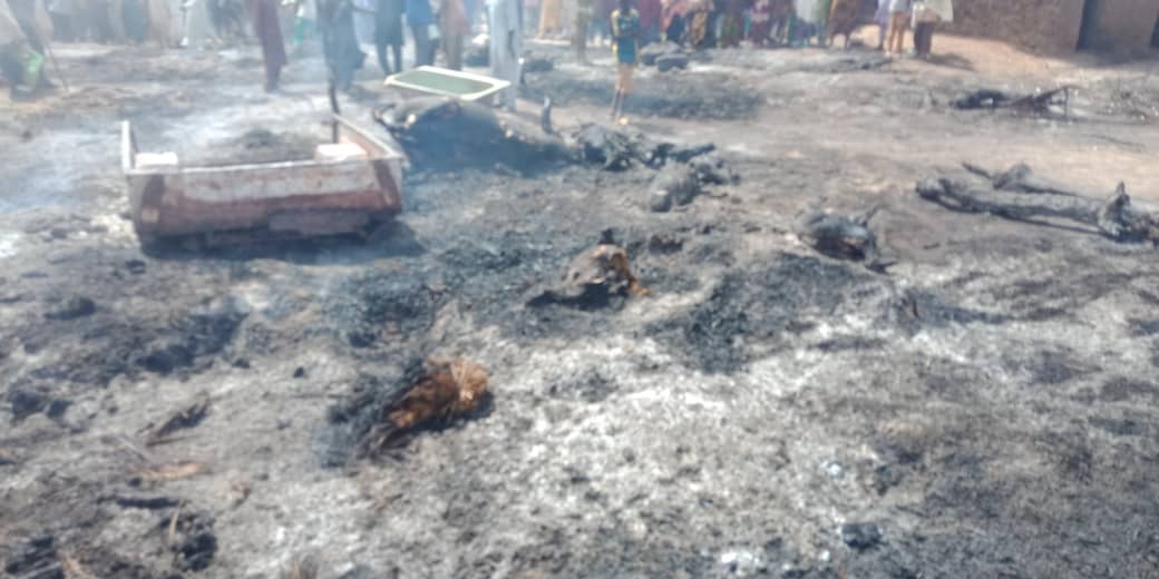 PICTORIAL: Houses, Livestock Razed As Fire Ravages Kano Village