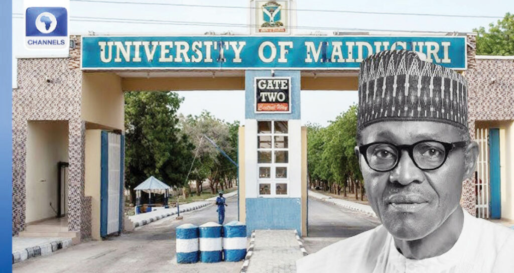 Tinubu Renames University Of Maiduguri After Buhari