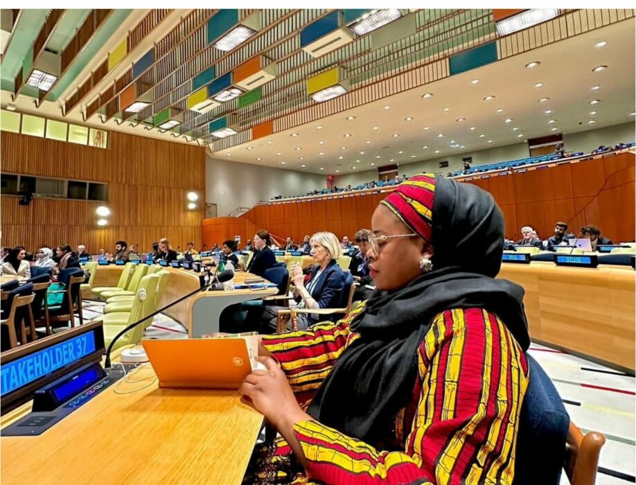 UN Forum: Aisha Hamman Advocates Women’s Leadership In Science, Tech ...