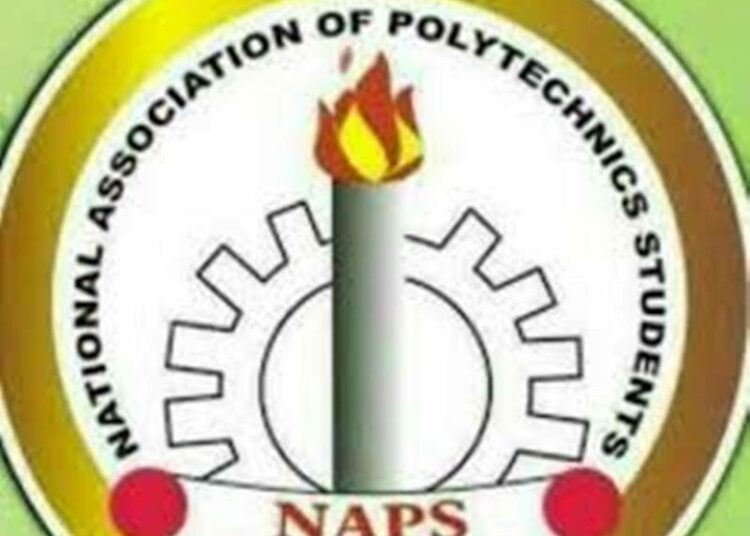 NAPS Backs Tinubu’s Emergency Measures On Security, Seeks Matawalle’s ...