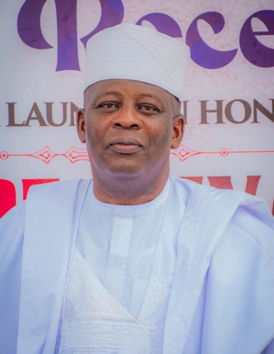 Renowned History Professor, Siyan Oyeweso, Dies At 64