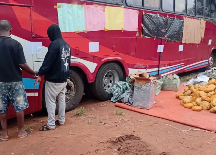 Customs Intercept Luxury Bus With Military Regalia, Indian Hemp