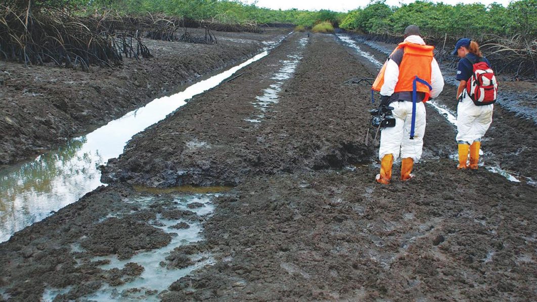 Federal Govt Urges Donors To Bridge Funding Gap For Ogoni Cleanup