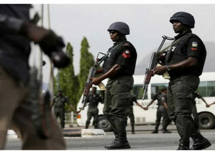 Police Seize N7.8bn Worth Of Drugs In Lagos Raid